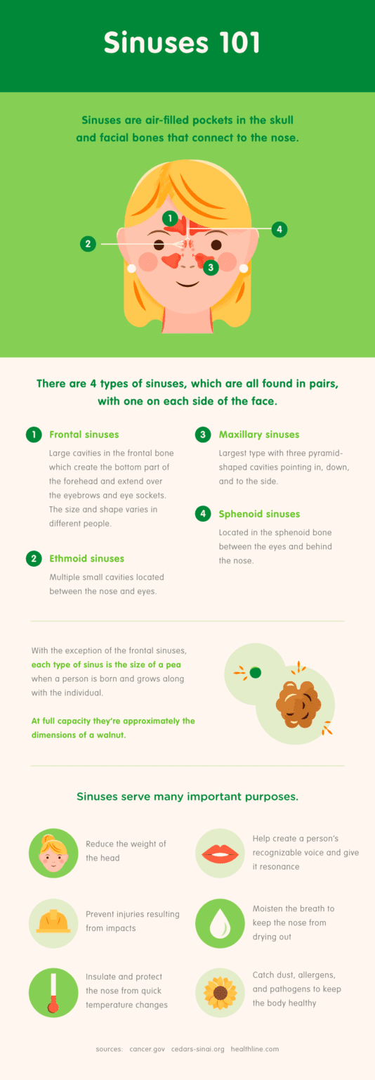 CAN ALLERGIES CAUSE MIGRAINE, SINUS HEADACHES, AND JAW PAIN?