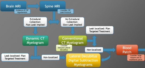 CSF Leak Symptoms, Causes, Testing, and Treatments - Virtual Headache ...
